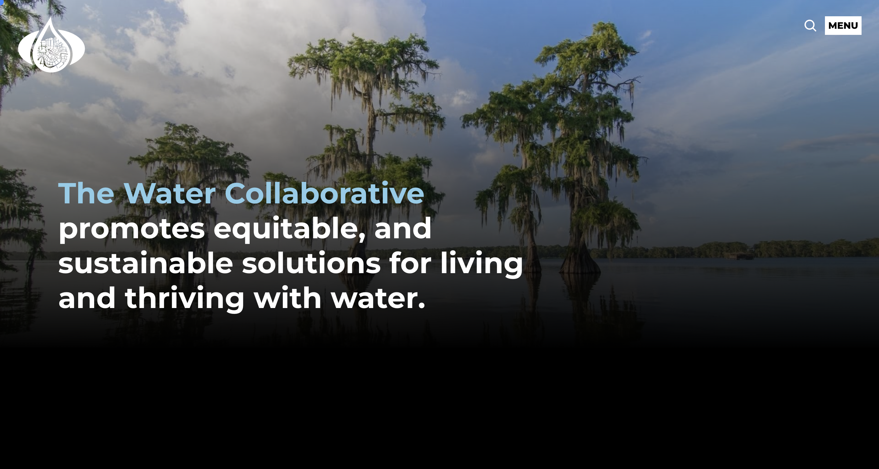 About | The Water Collaborative