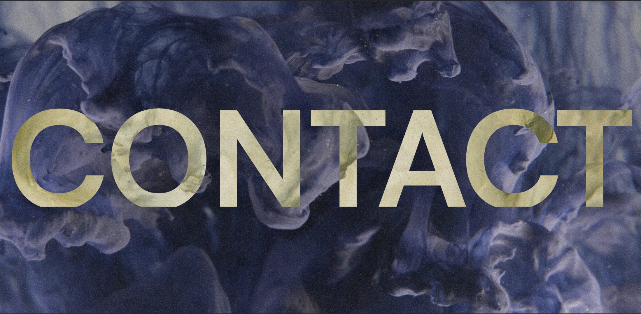 Twyne - Contact Us