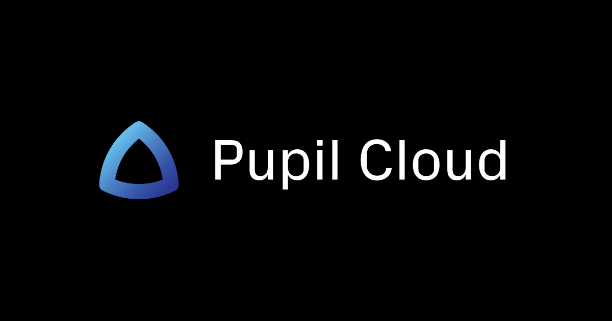 Pupil Cloud - Eye tracking visualization and enrichment