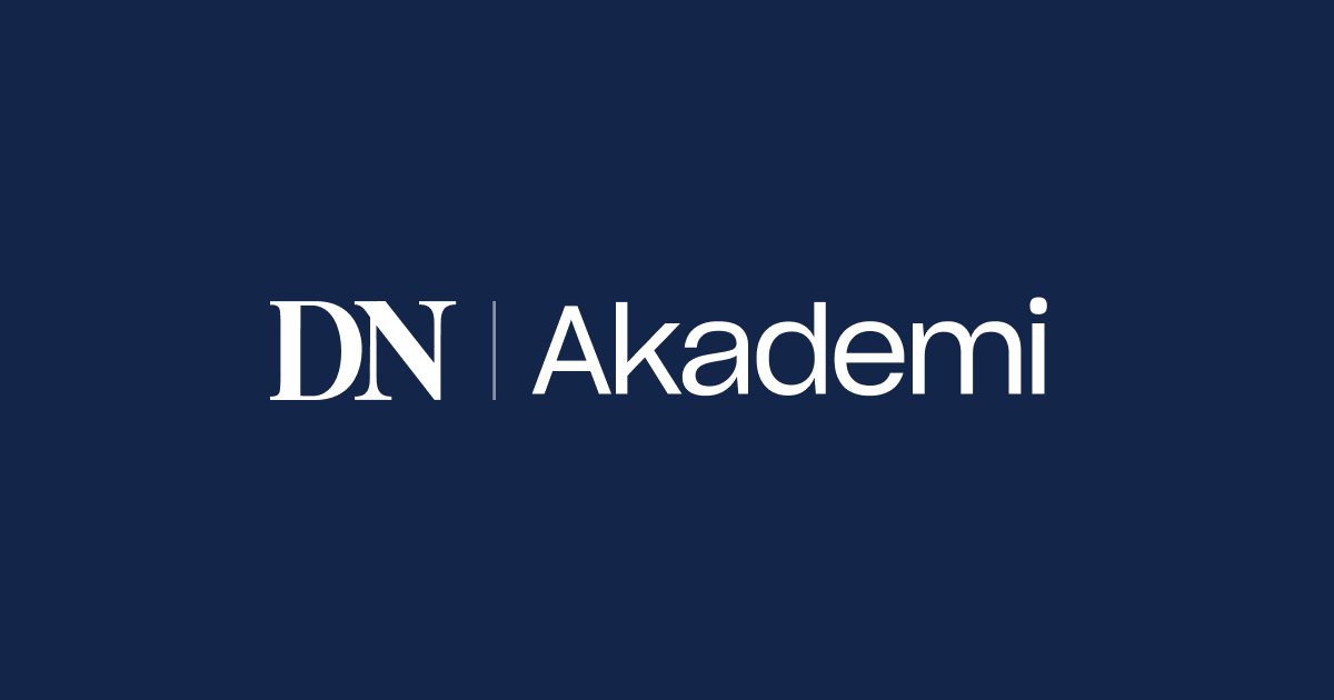 DN Akademi