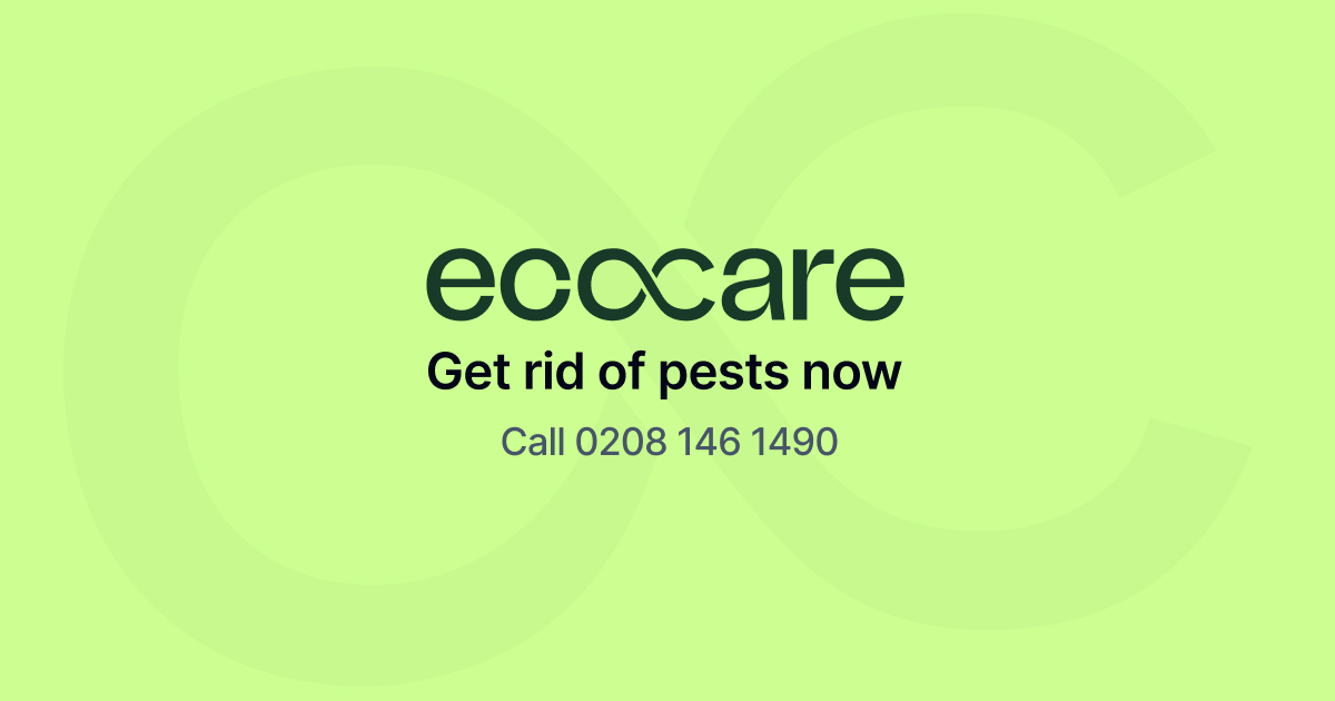 Pest Control Manchester | EcoCare