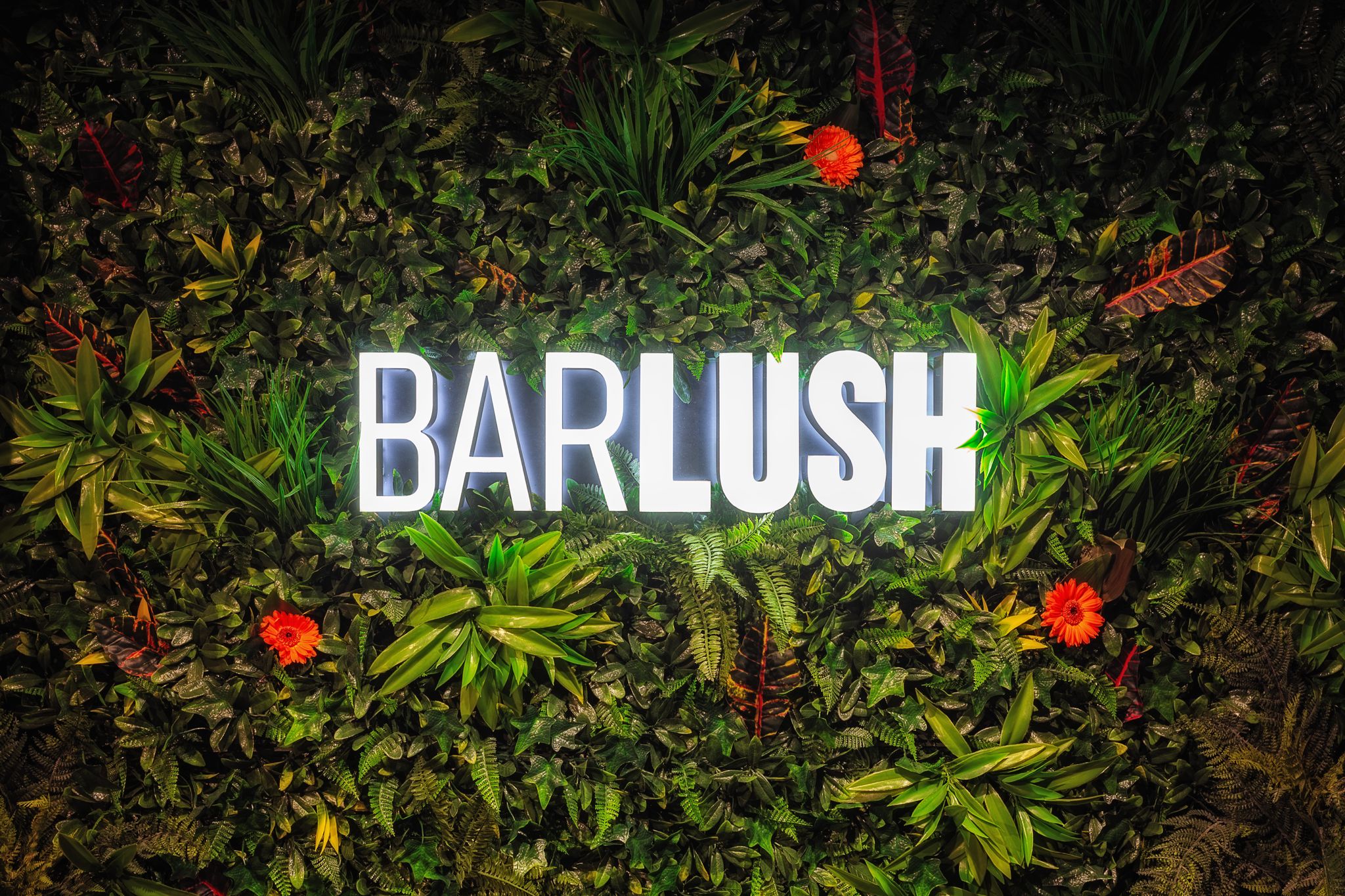 Tapas Menus | Bars in Barnstaple | Food Menu | Bar Lush