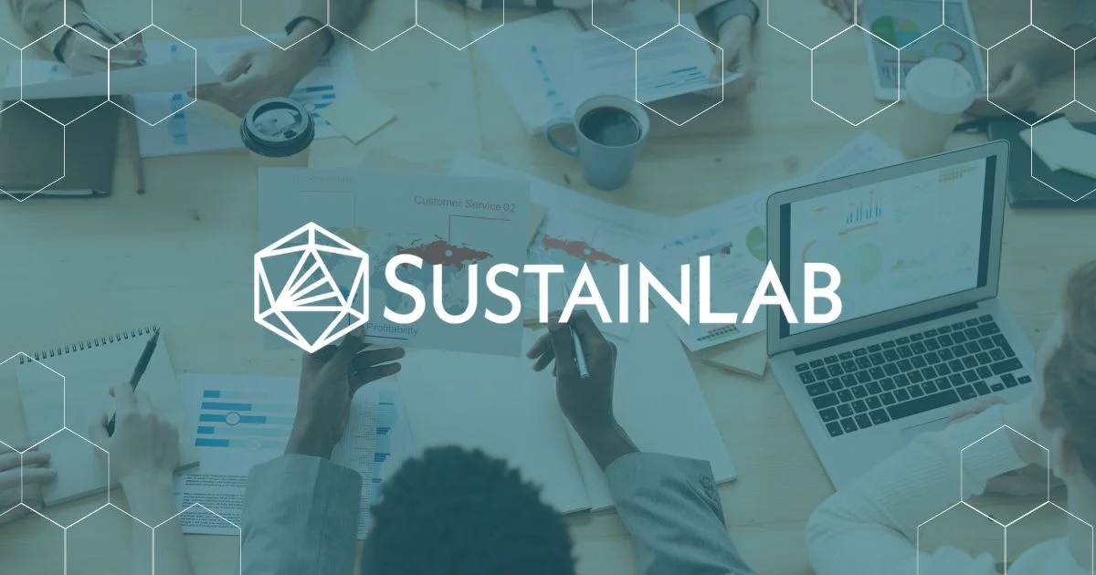 VSME Standard | Support and process