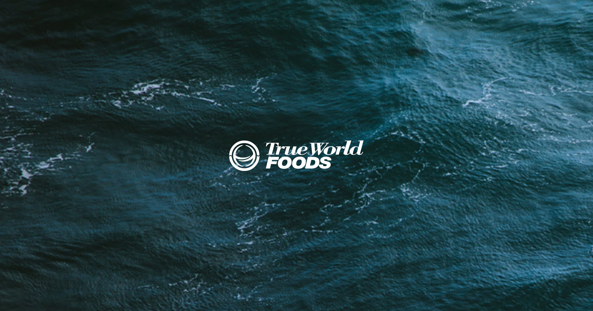 True World Foods Logo David Posnack JCC The Square Bowl
