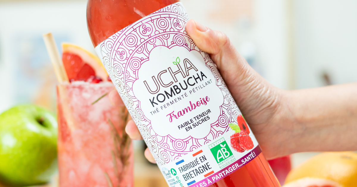 Kombucha : guide complet pour tout comprendre sur cette boisson vivante ...