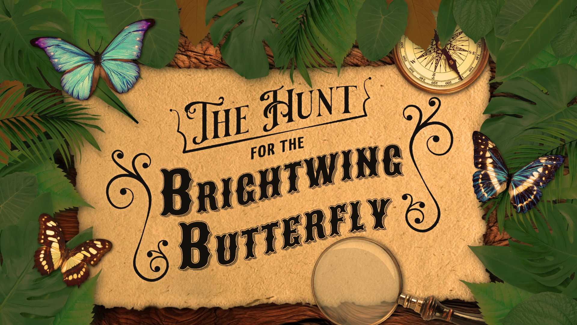 The Hunt for the Brightwing Butterfly | Lockwood Immersive