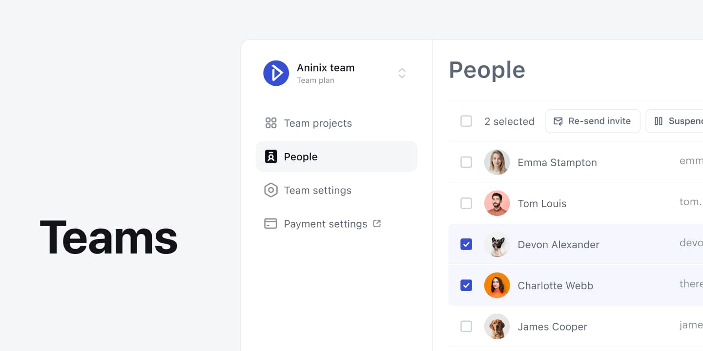 Aninix Teams · Alone you can do so little, together you can do so much.