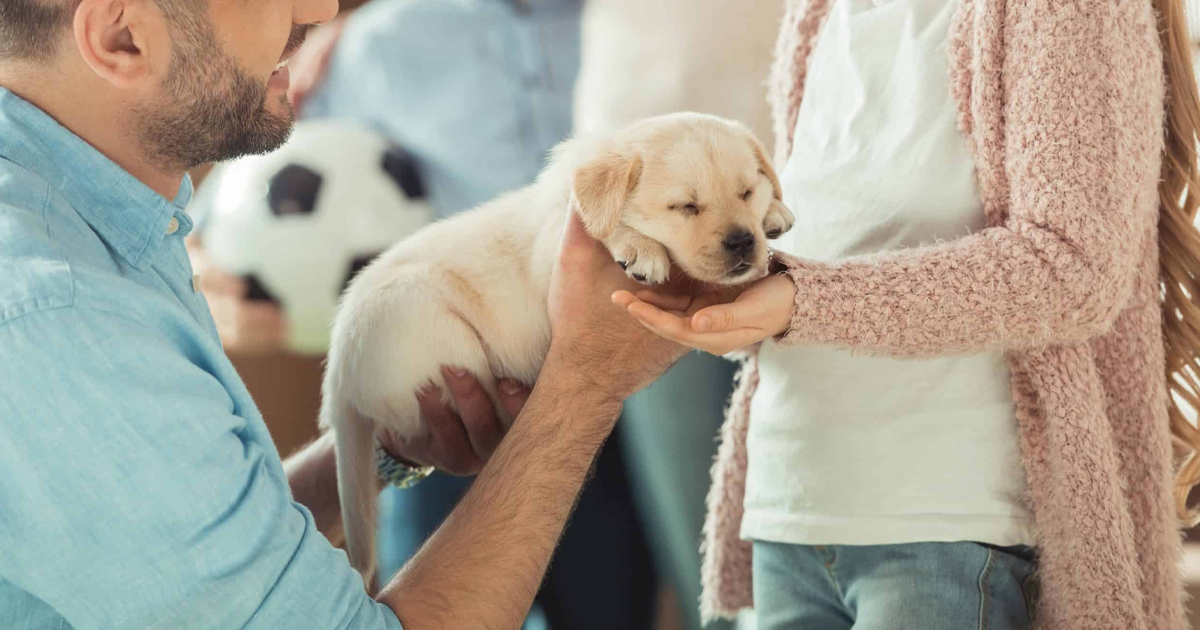 Puppy Visit: What to Expect During Your First Vet Visit in Dubai