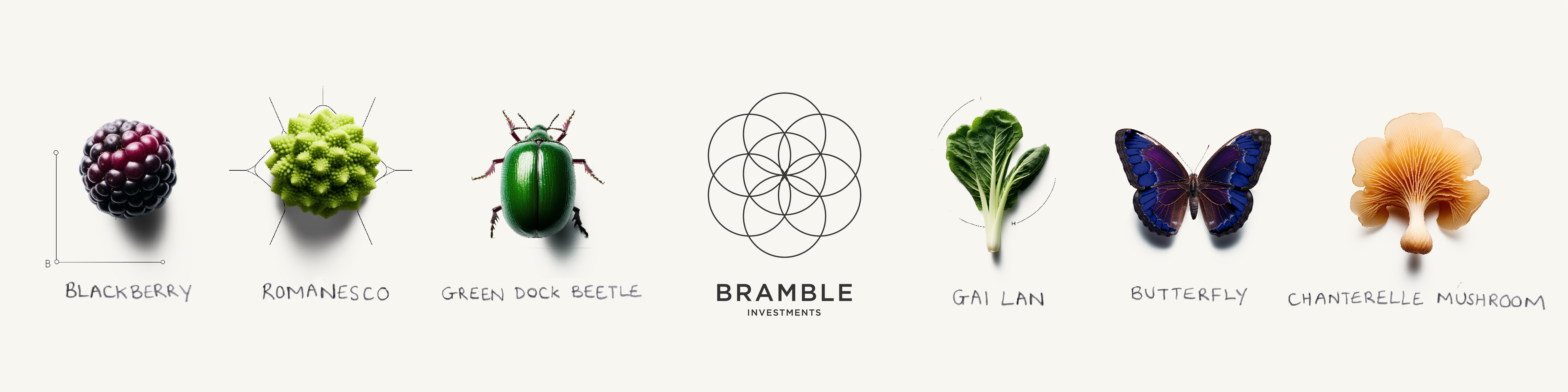 Bramble Partners