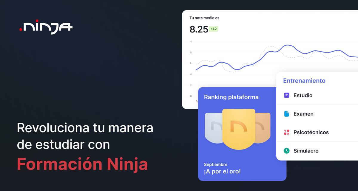 Opiniones de Formación Ninja