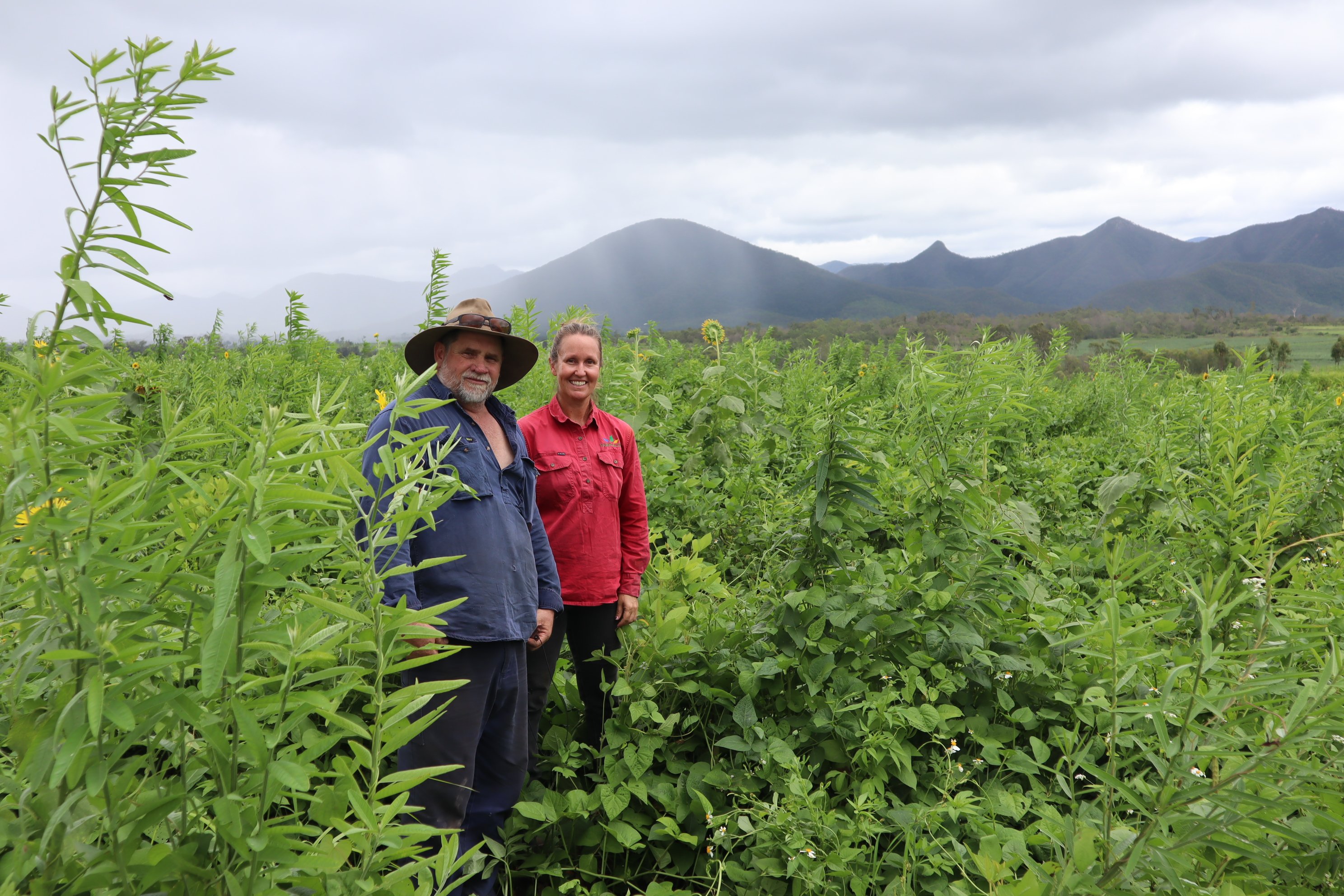 Farmacist Resources | Guides, Tools & Information