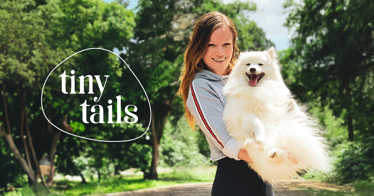 Tiny Tails Dog Walking