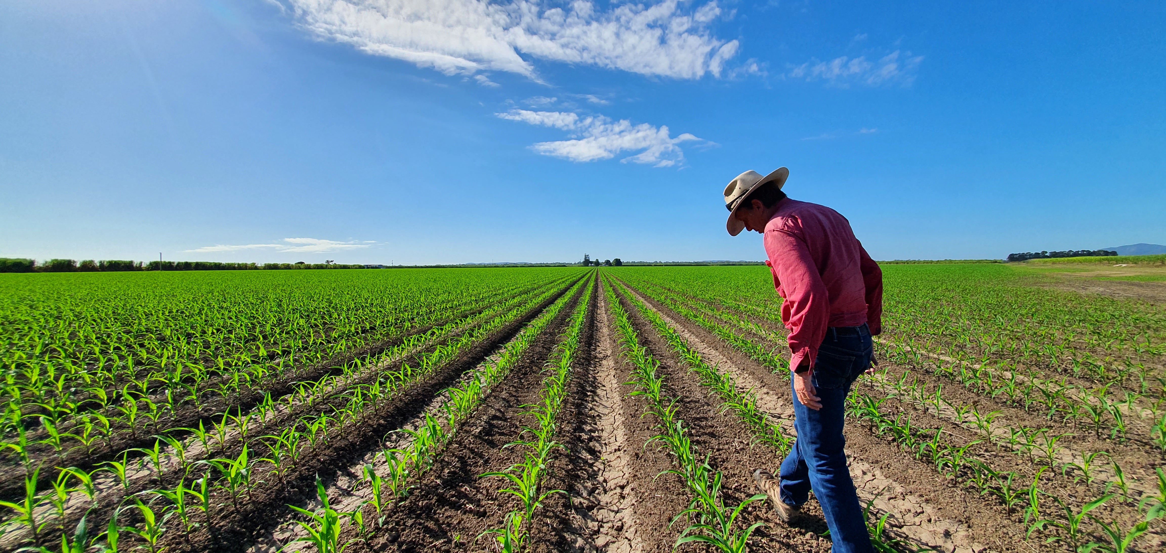 Farmacist | Precision Agronomy & Agricultural Solutions