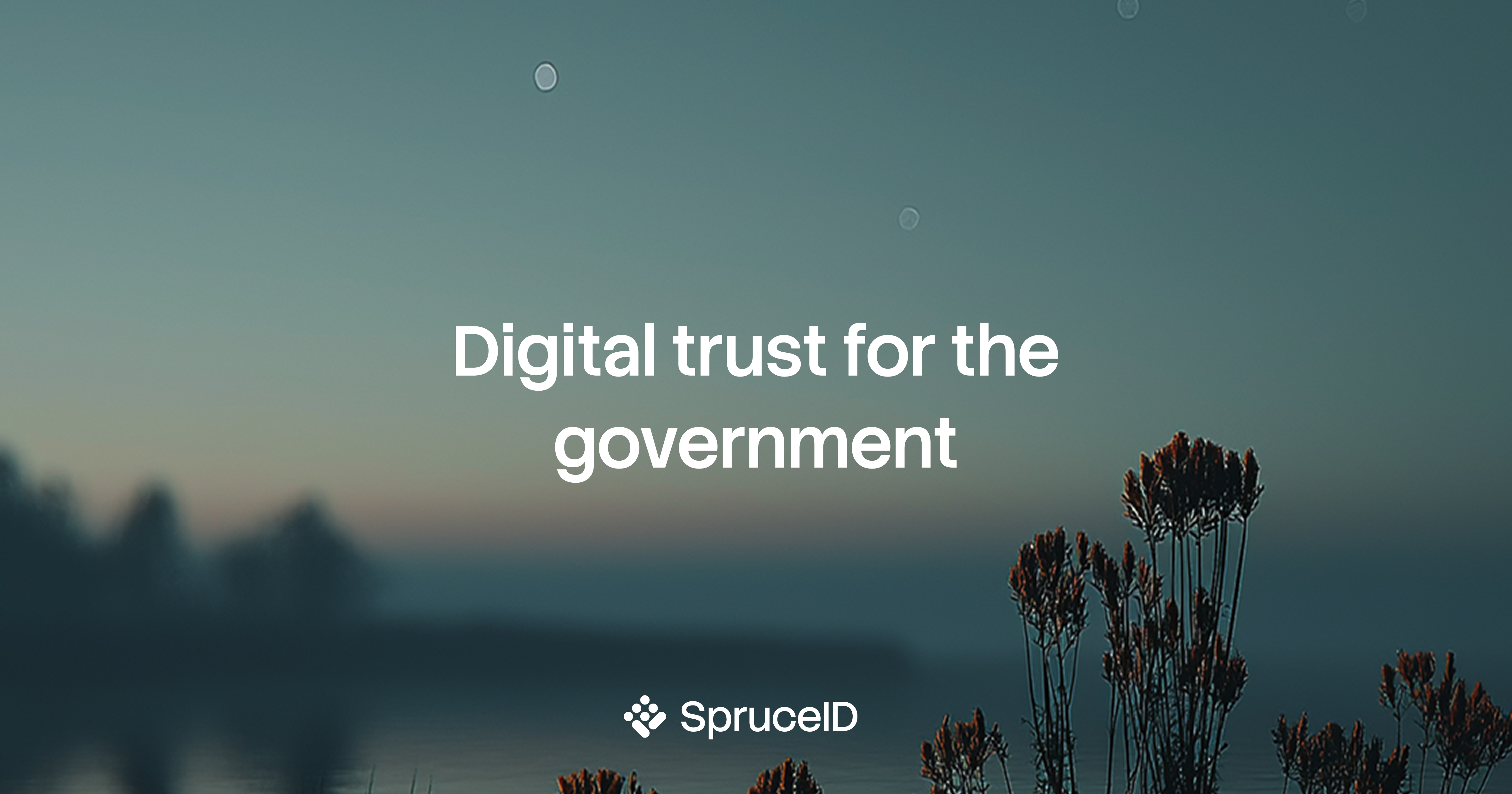 How Is an mDL Different from Apple Wallet IDs? | SpruceID