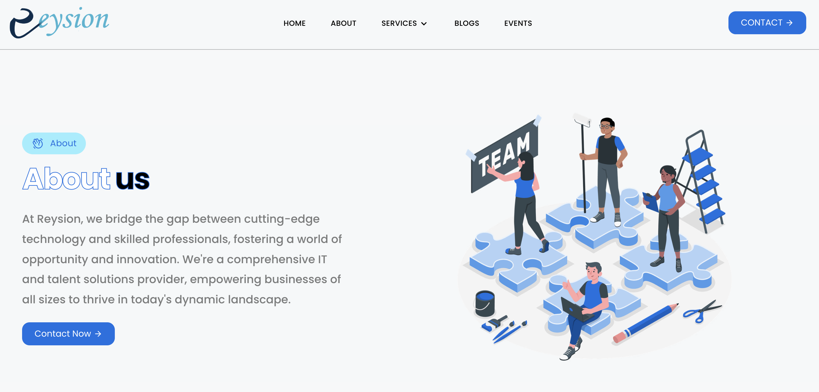 Reysion: Transforming Business with Innovative Solutions