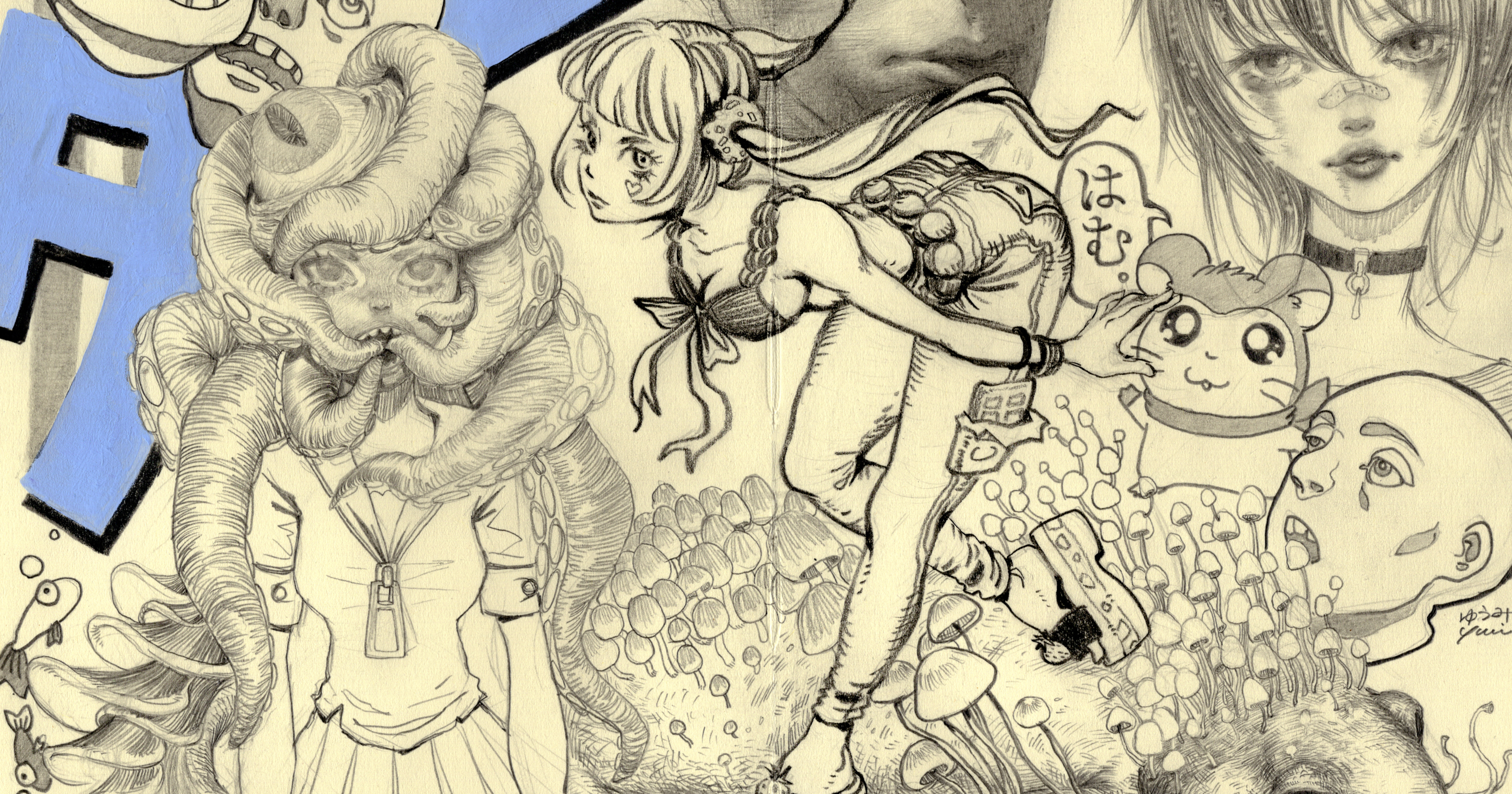 Hideout - Drawing Lessons for Traditional and Digital Artists