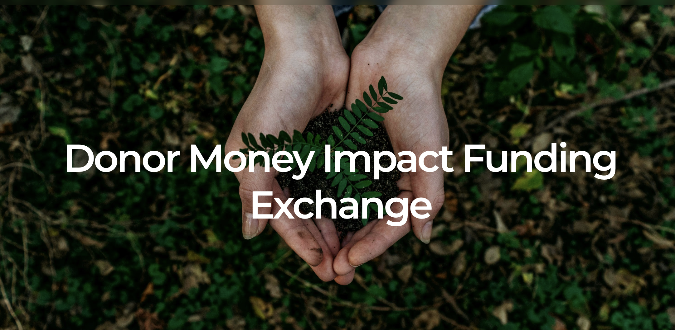 Donor Money Impact Exchange | Empowering Nonprofits Through Innovative ...