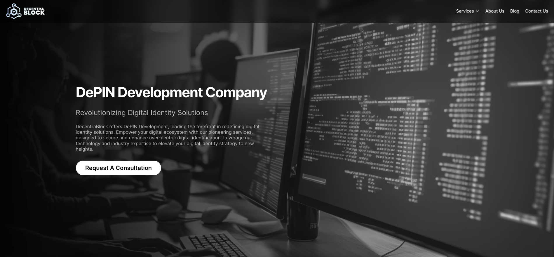 Top DePIN development services provider in the USA