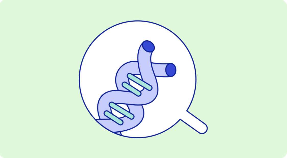Your genome | Nucleus