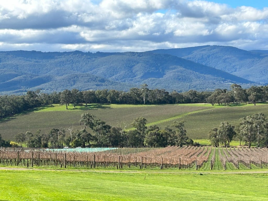 RinaWine | Private Winery Tours in Melbourne & Yarra Valley