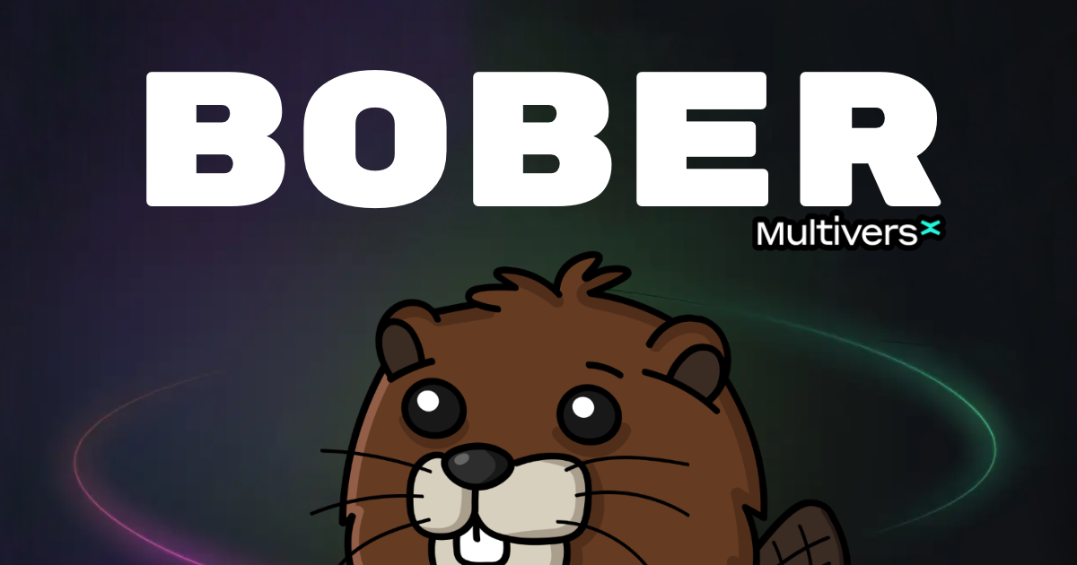 BOBER - The first meme coin that flipped MultiversX.