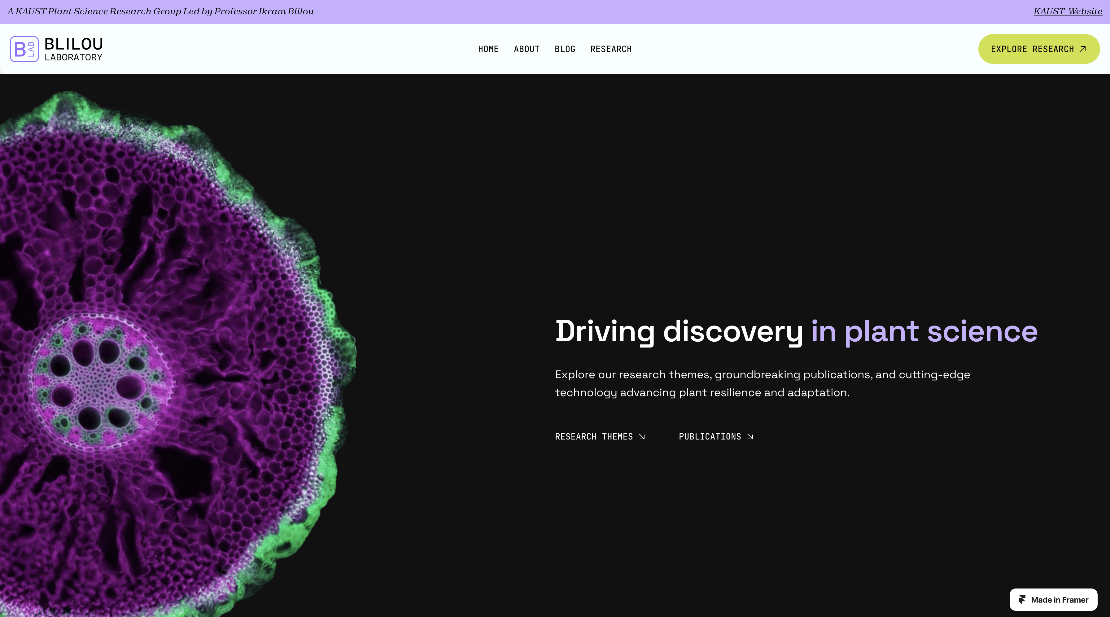 Blilou Lab - KAUST Plant Science