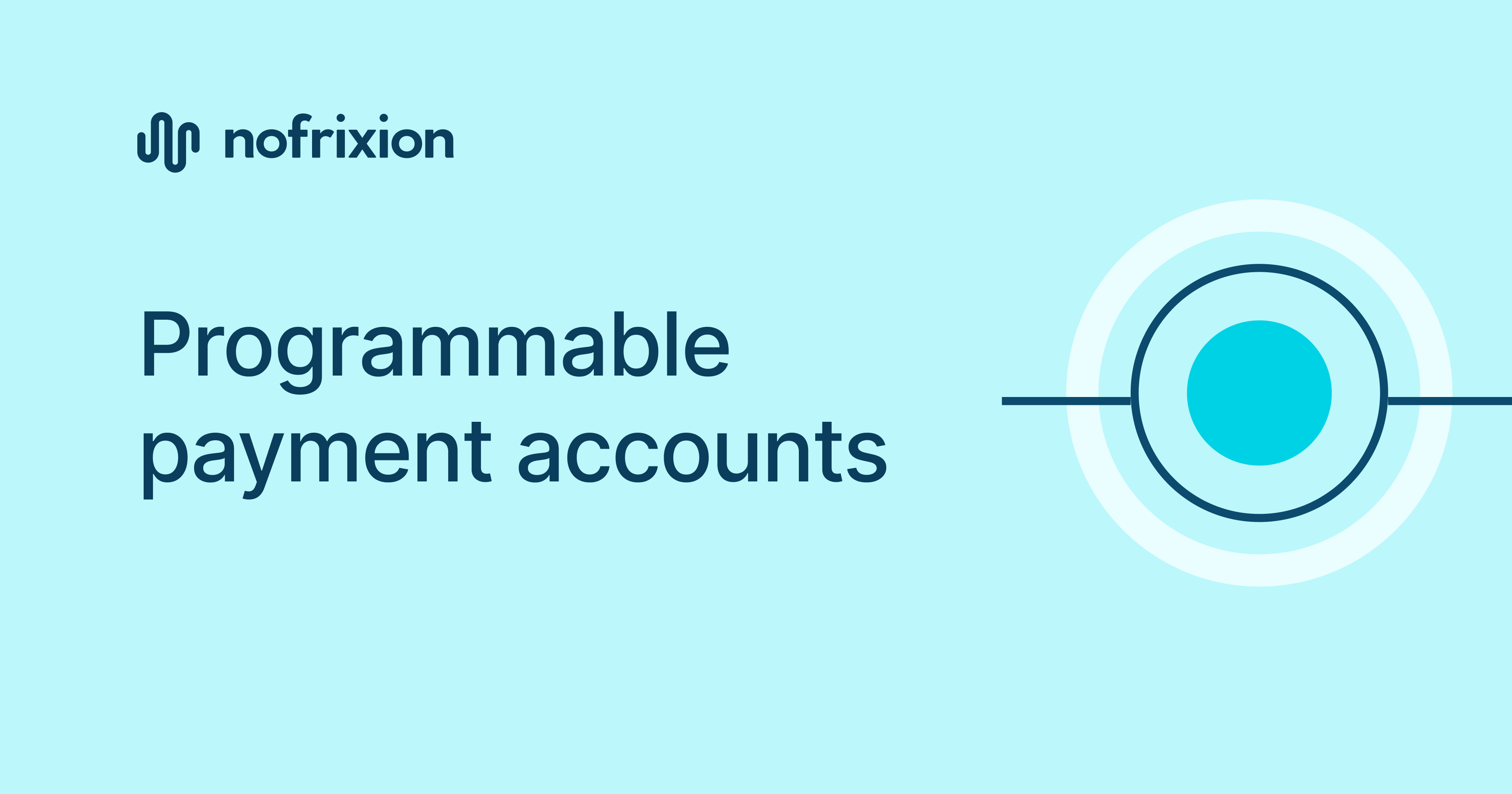 Programmable payment accounts