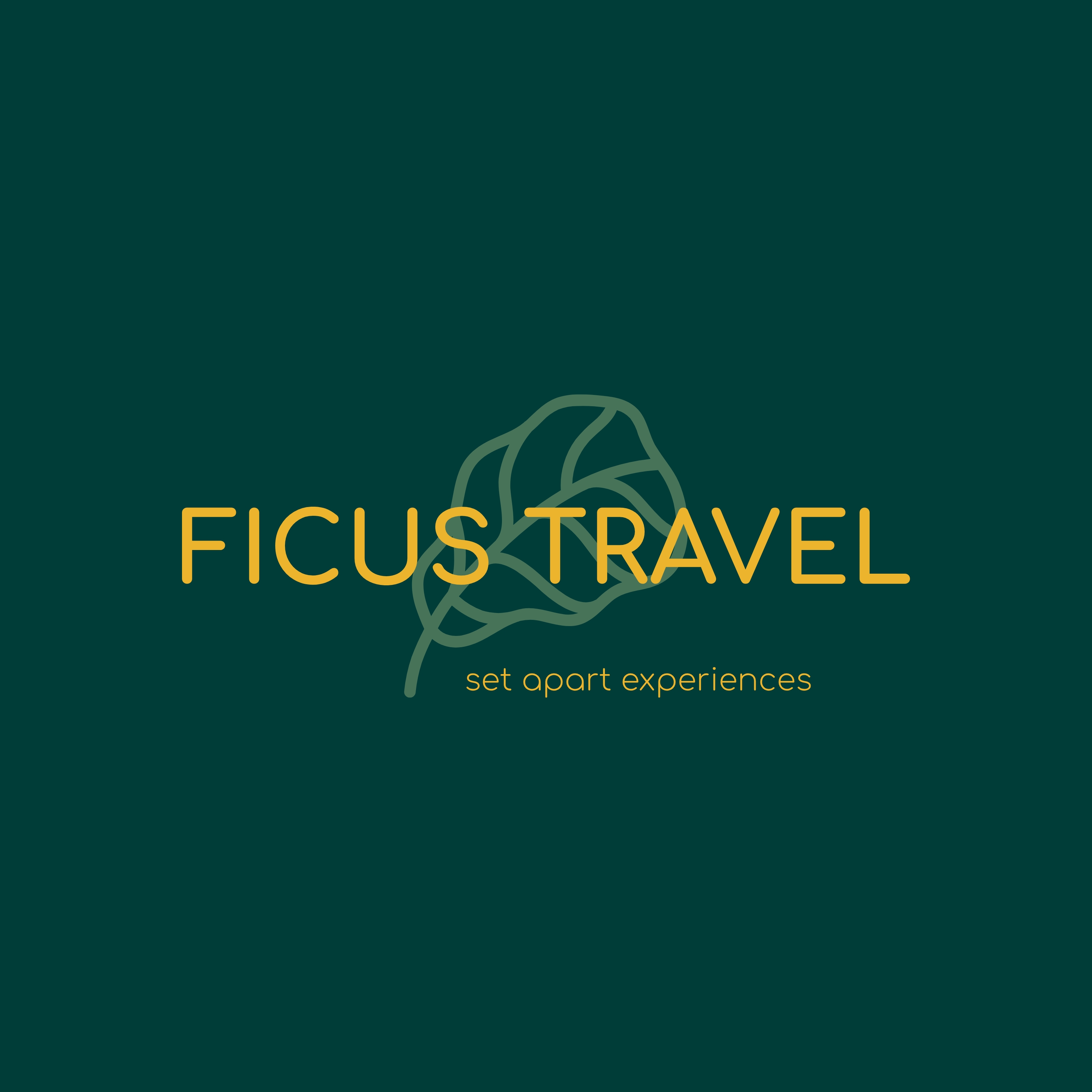 Ficus Travel - Authentic Small Groups