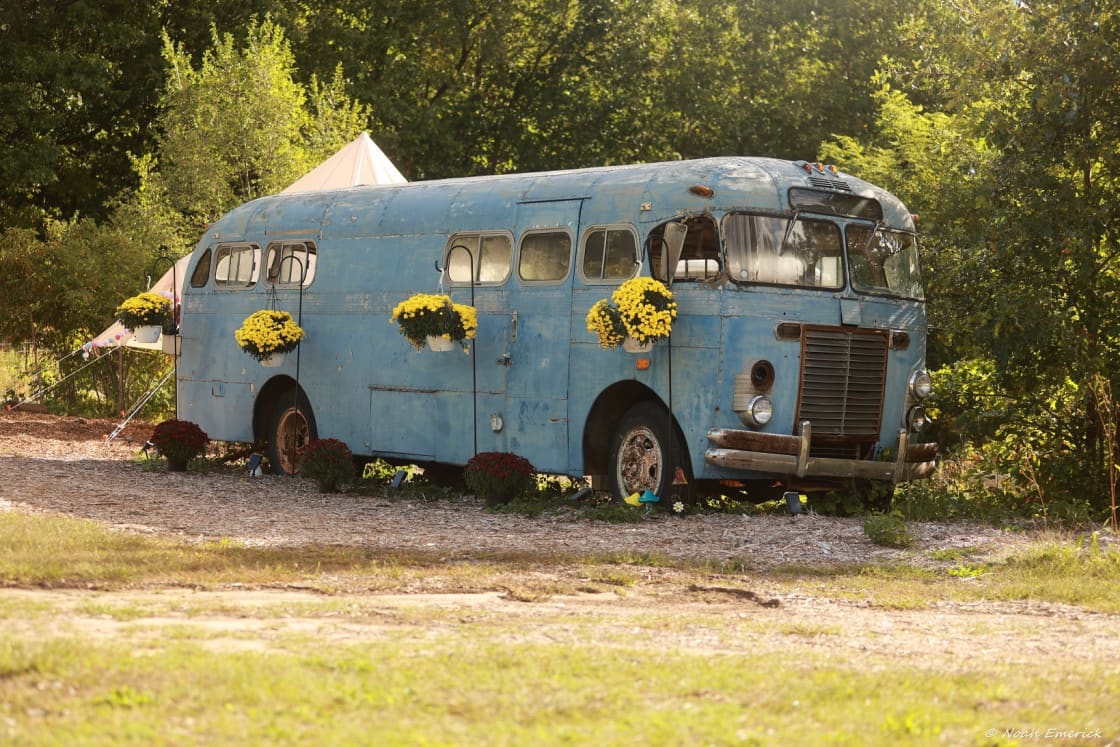 Blooming Bus Farms