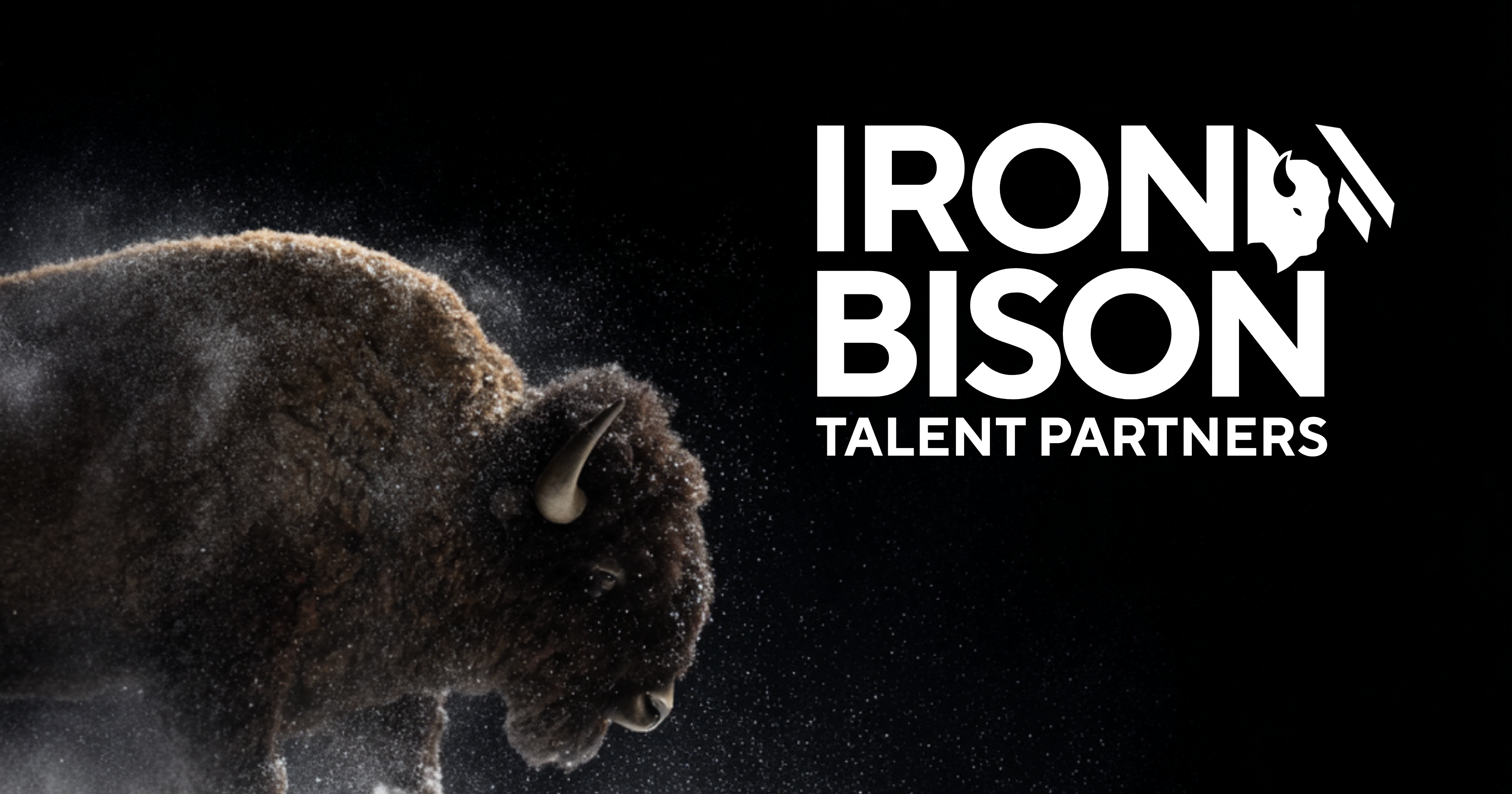 Iron Bison Talent Partners