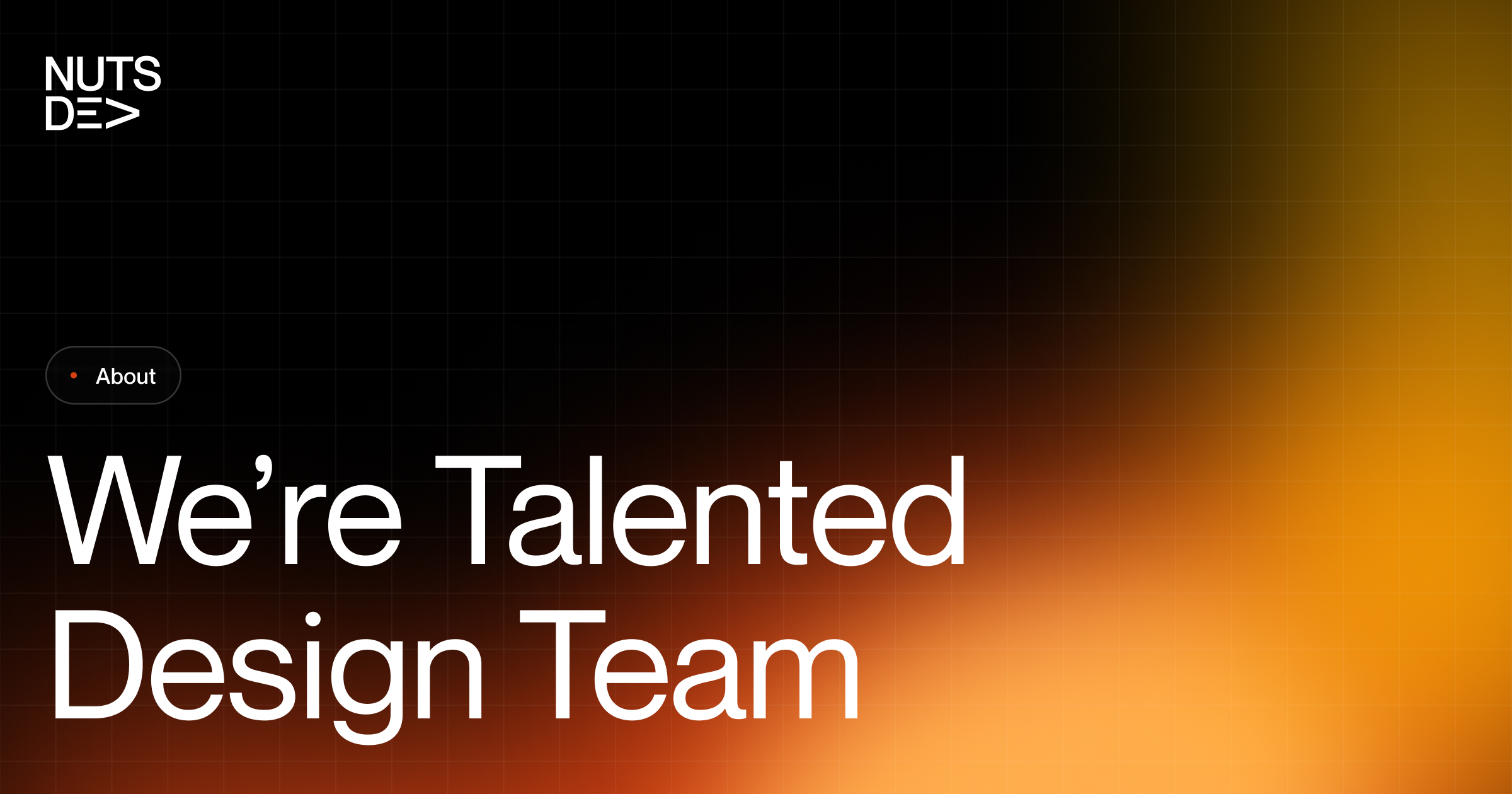 NutsDev — About