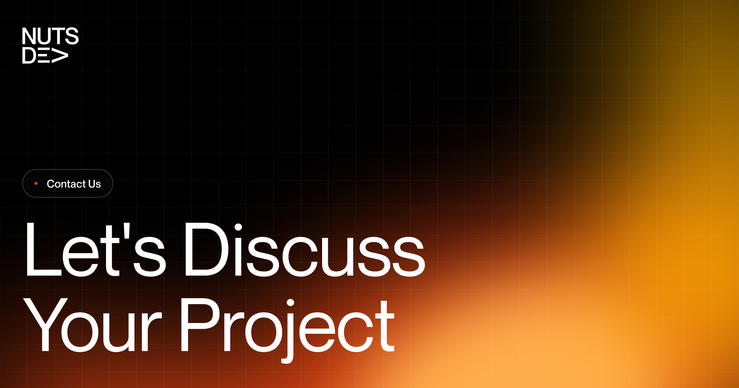 NutsDev — Contact Us