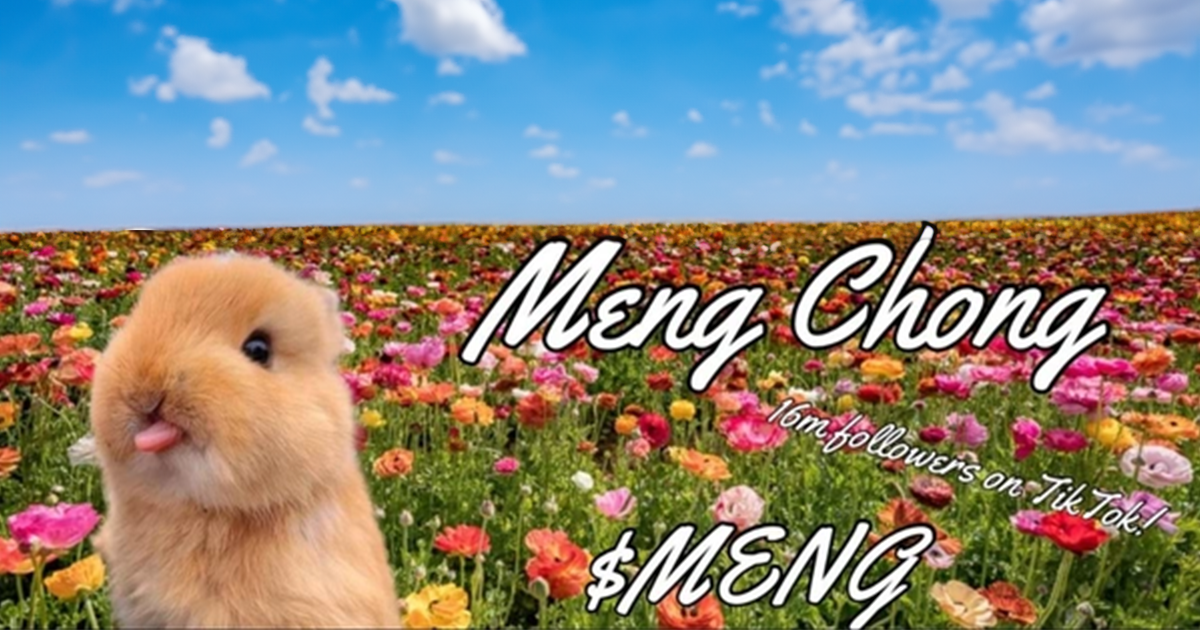 $MENG: The Official Meng Chong on Solana | The Most Viral Bunny on TikTok