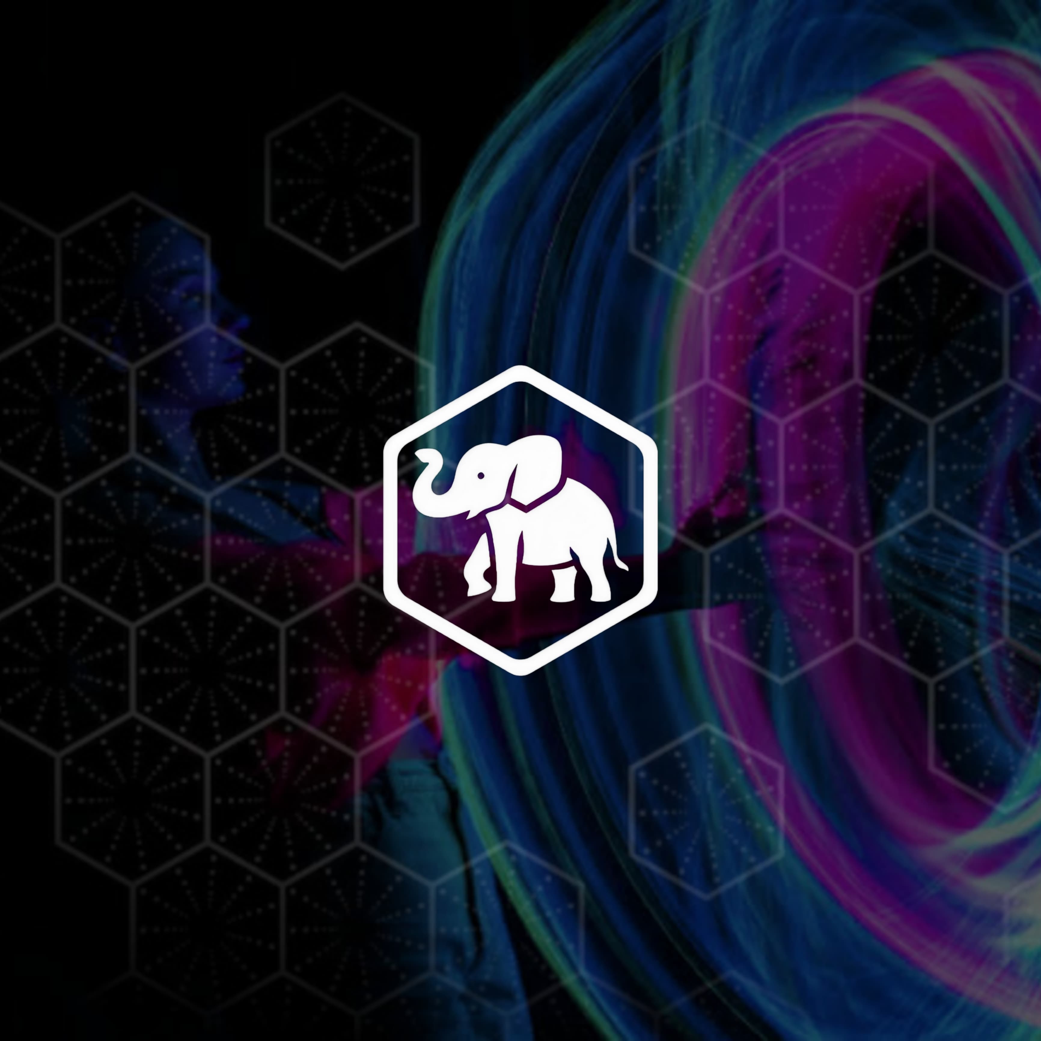 White Elephants Technology | design and build