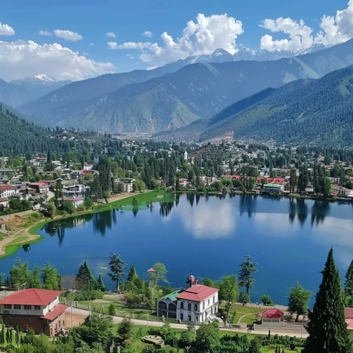 Hassan Sons Group: Shaping Kashmir’s Future