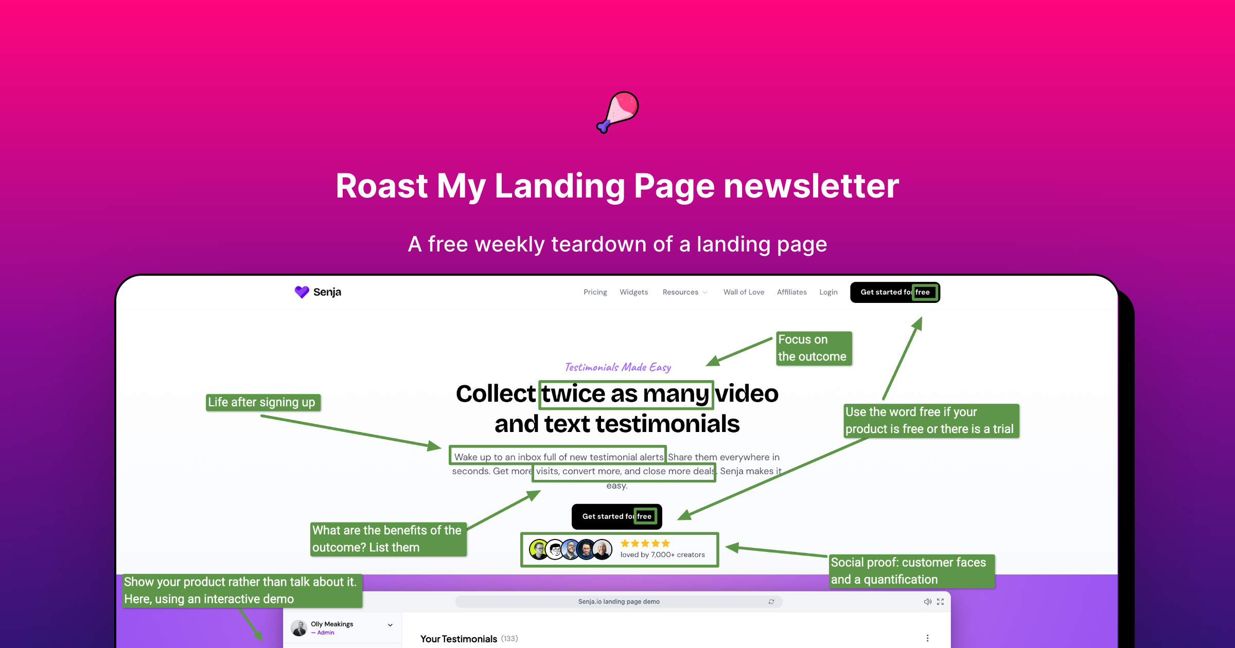 Roast My Landing Page newsletter