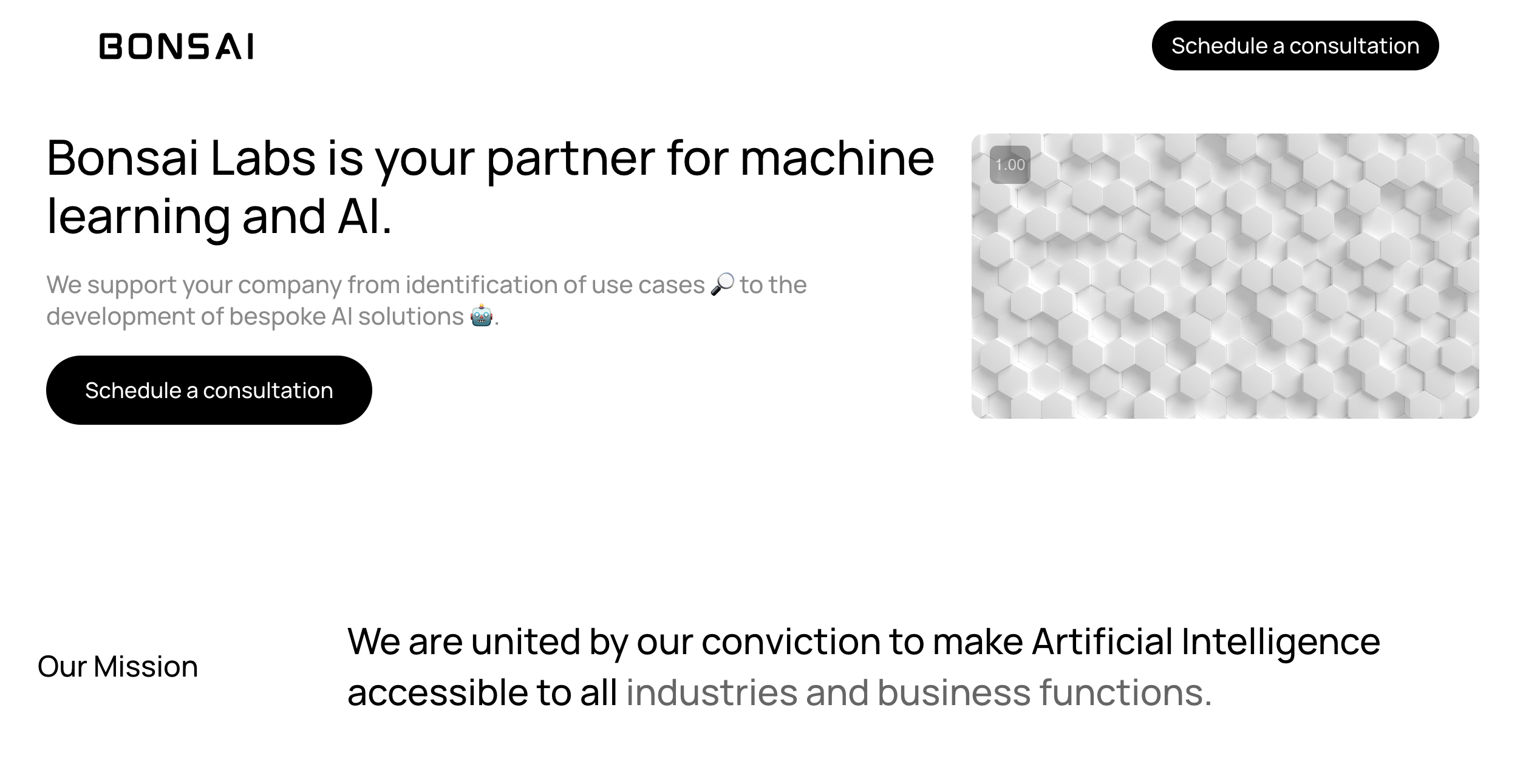 Bonsai Labs - AI-native app development agency