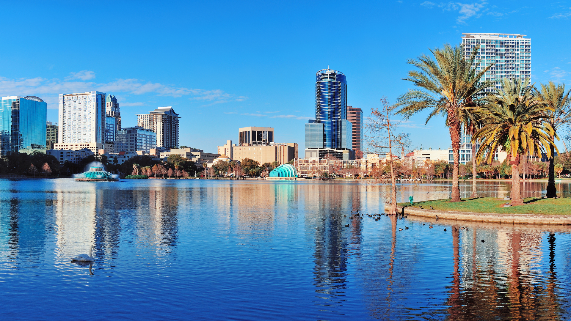 Expert Orlando Real Estate Attorney | Nasseh Law PLLC