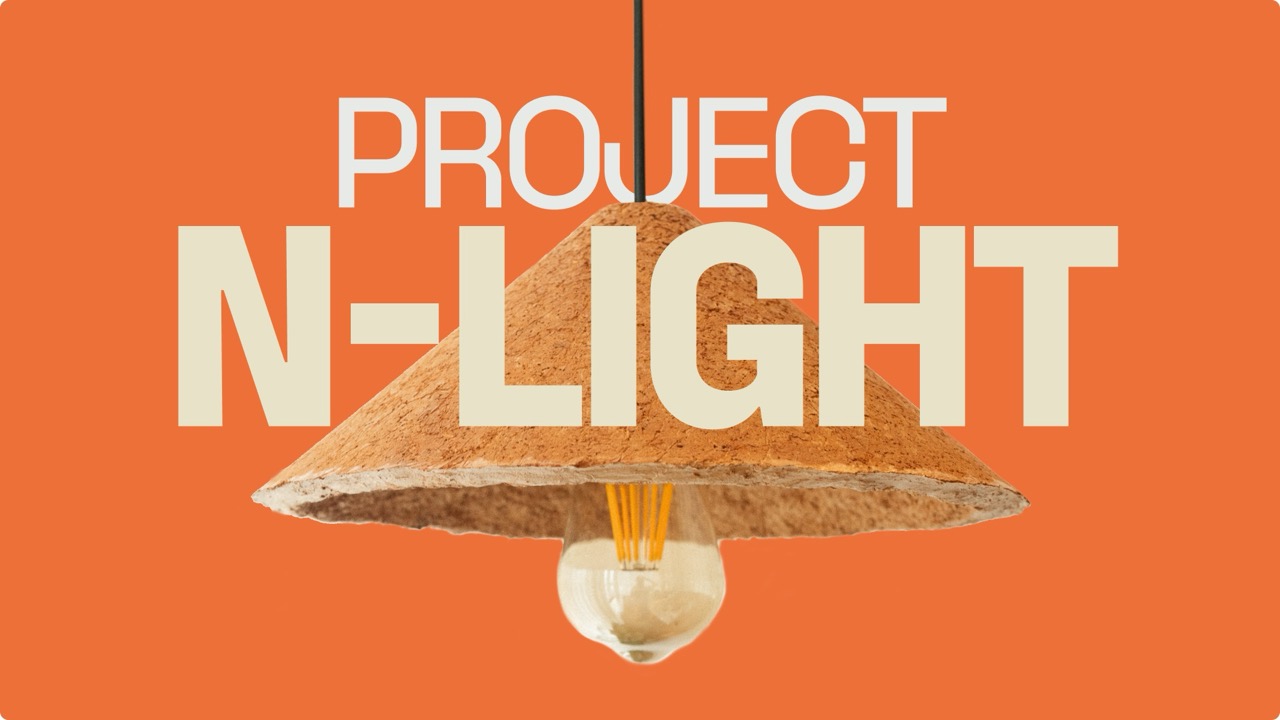Project N-Light