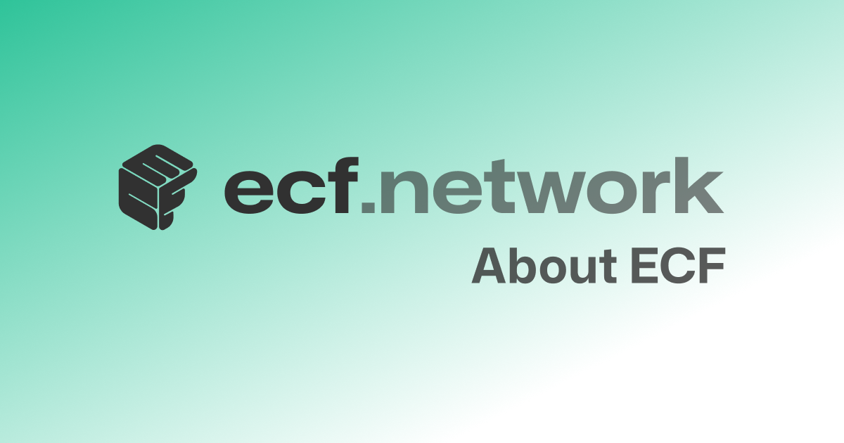 About our Organization