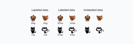 Understanding the Difference Between Labeled and Unlabeled Data