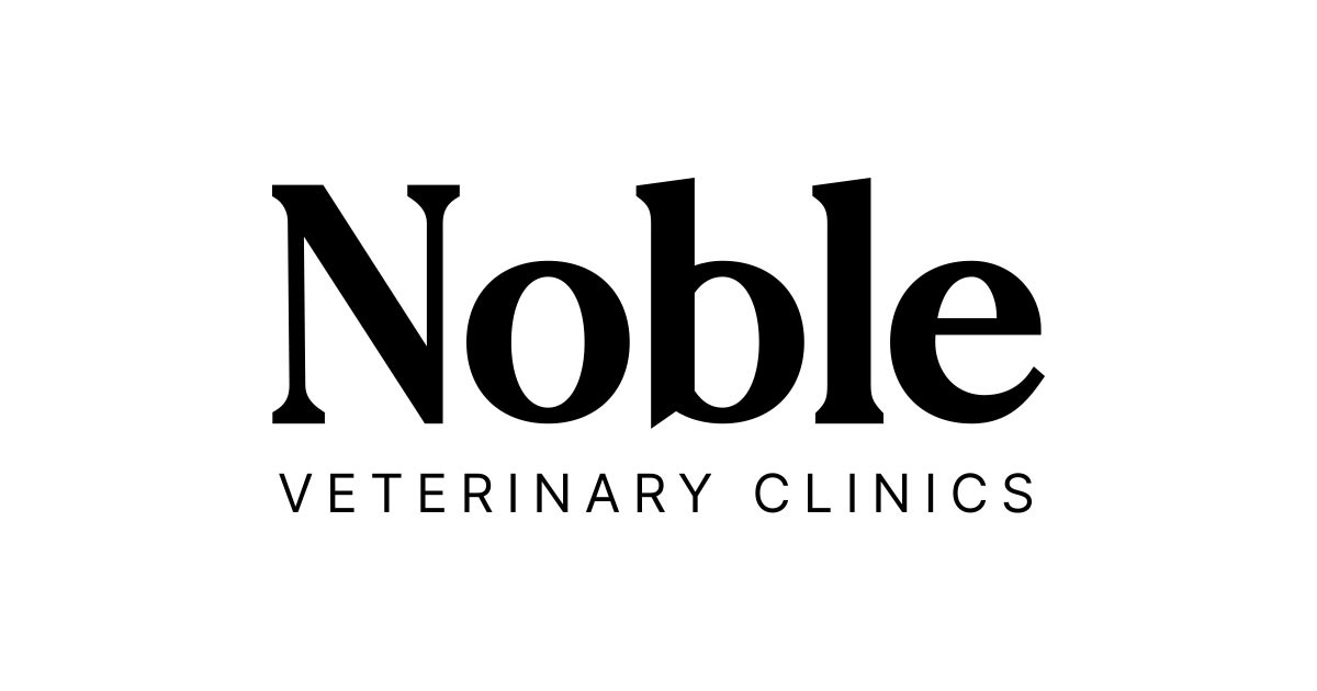 Sphynx Cat: The Playful and Furless Feline