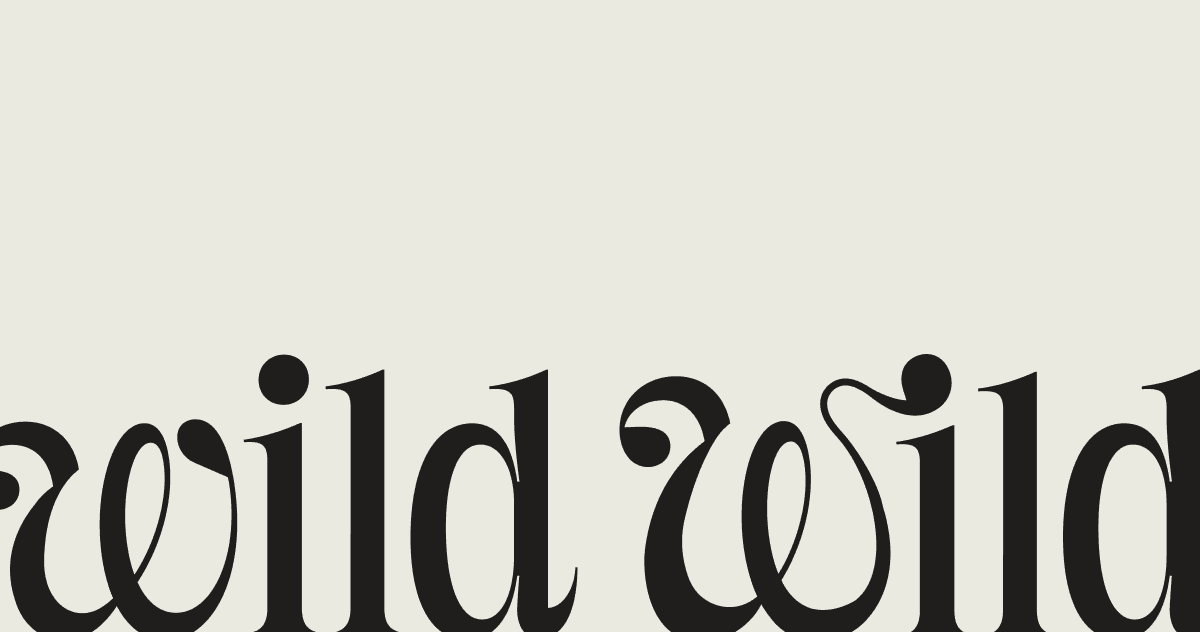 Studio Wild Wild - About Us | Branding & Design Agency