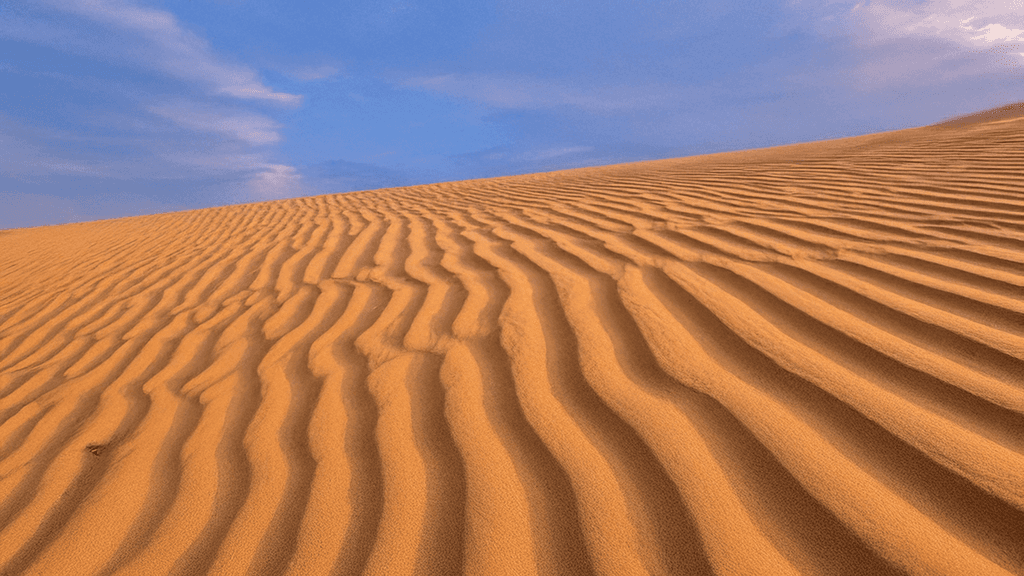 Executive Guide to Strategic Alignment: How to Keep Strategy and ...