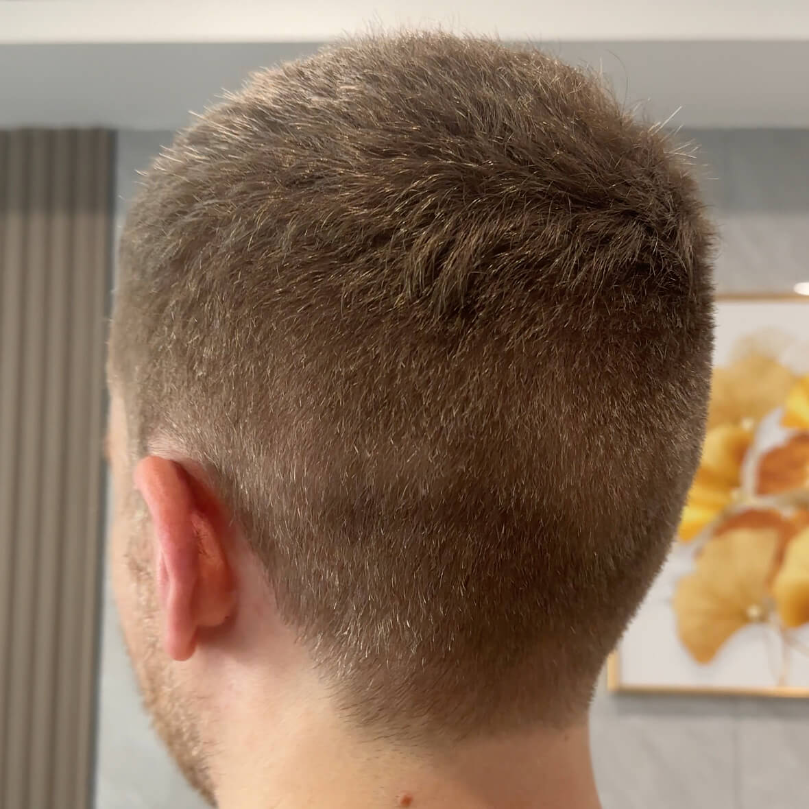 ClipEase - Smart Hair Clipper