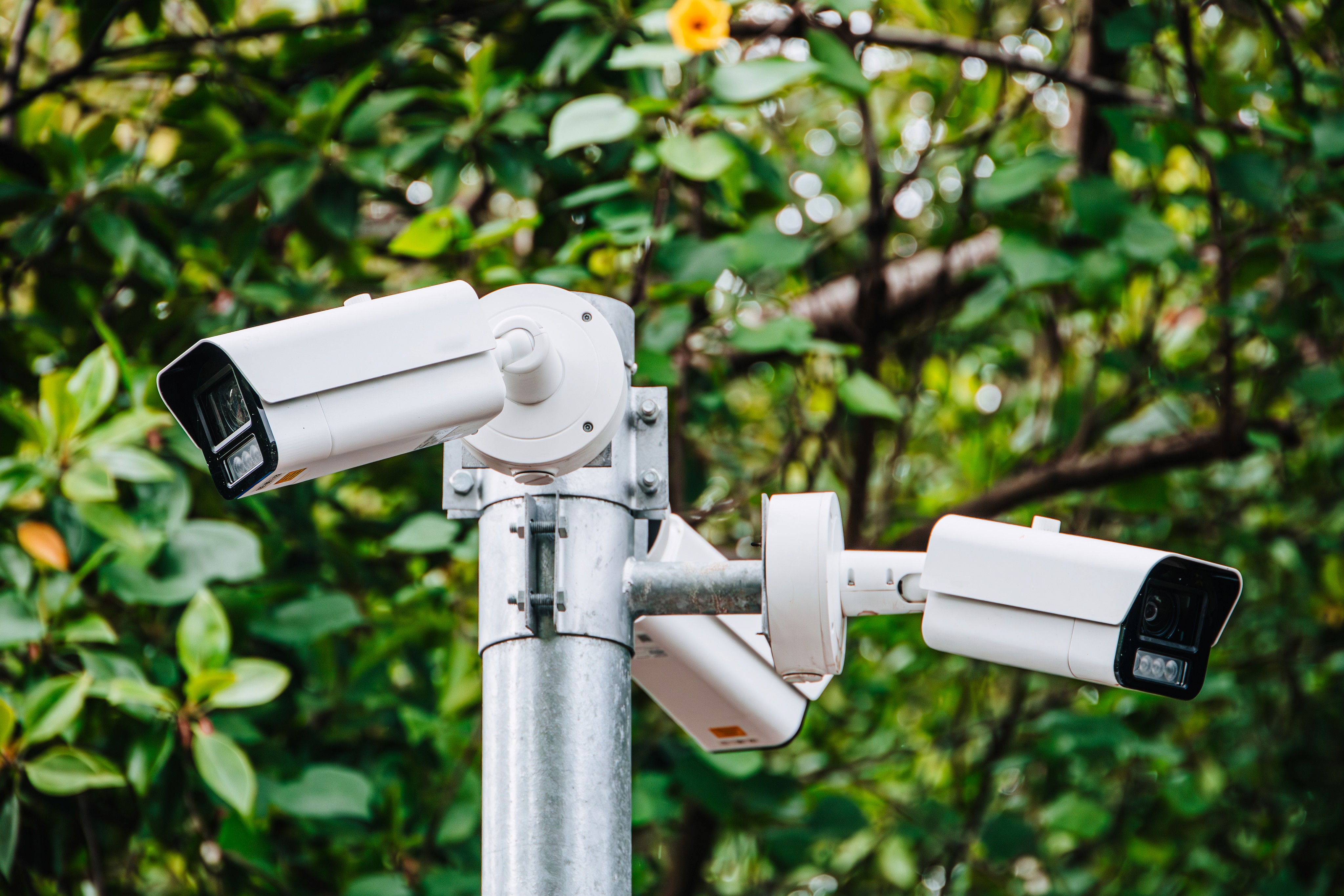 VCPG - Veterans Covert Protection Group