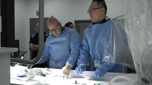 Advanced IVL for Peripheral Artery Disease | FastWave Medical