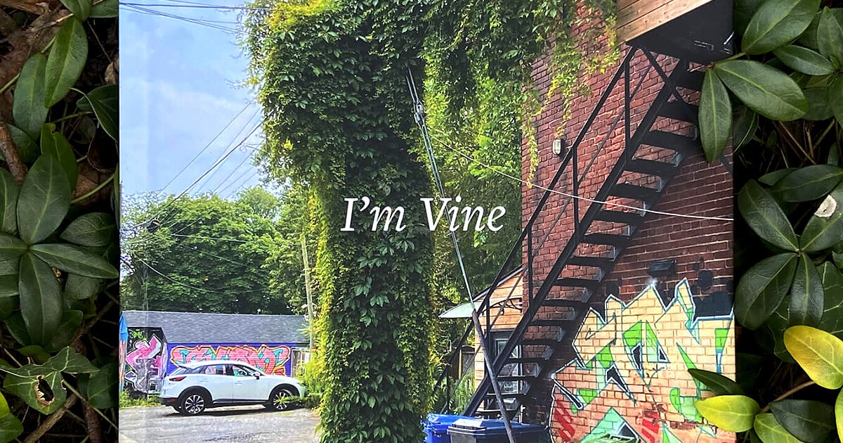 I'm Vine Book
