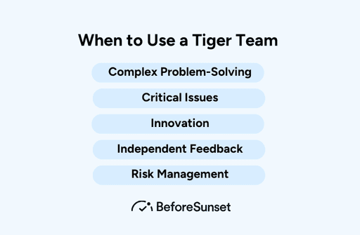 Tiger Team Meaning