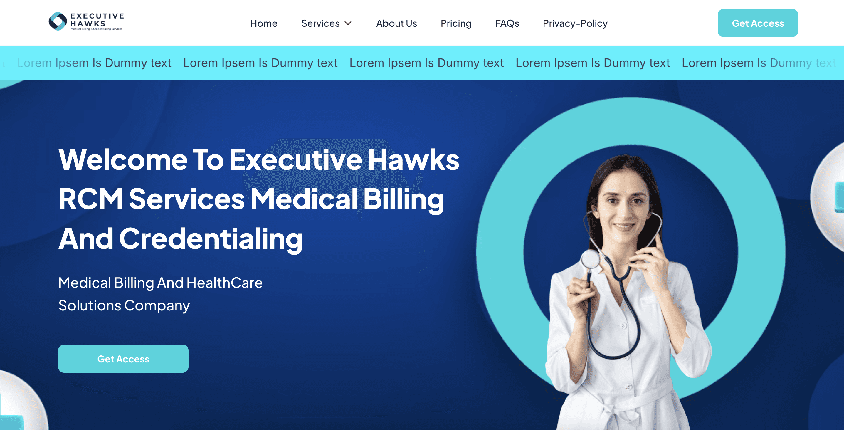 Executive Hawks